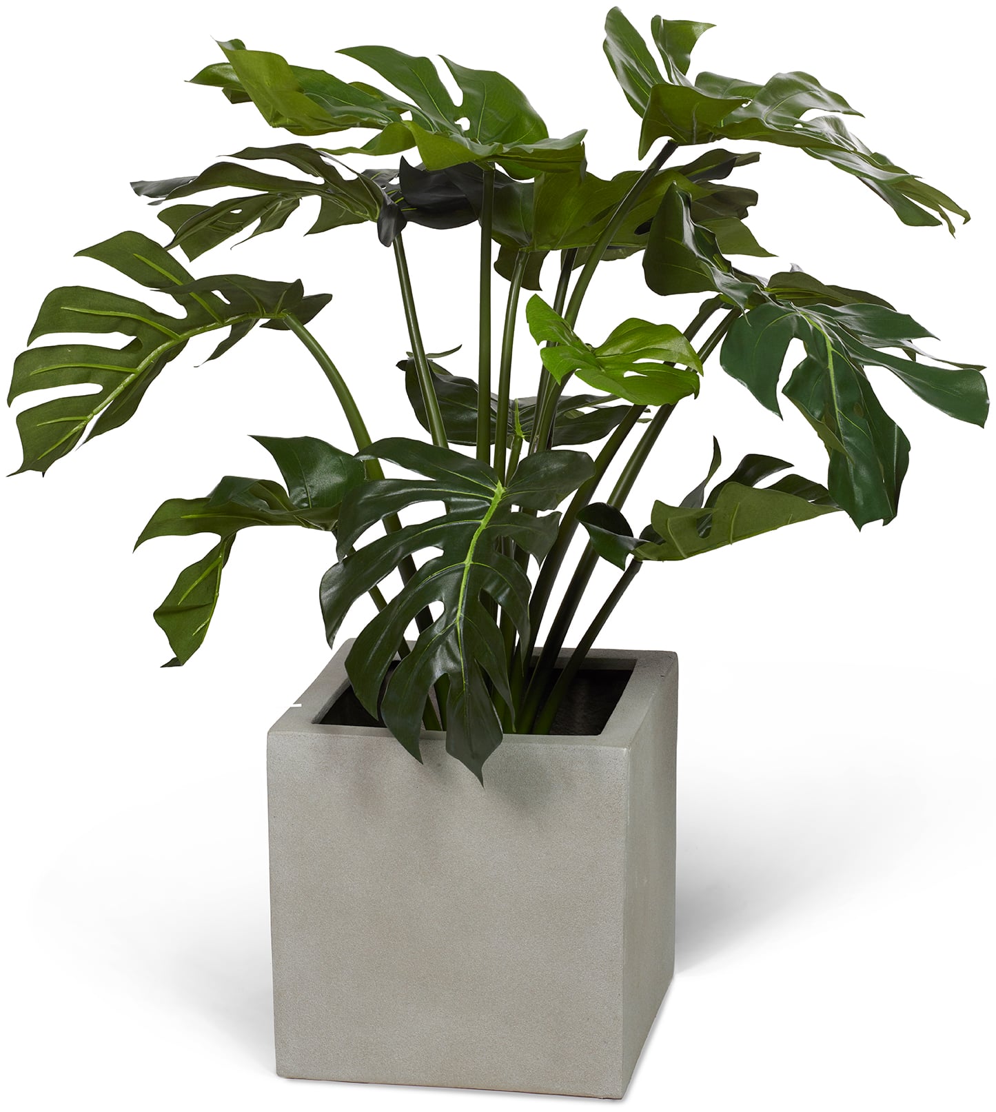 Kunstig Plante Split Philo 80 cm, kun 2 089 kr